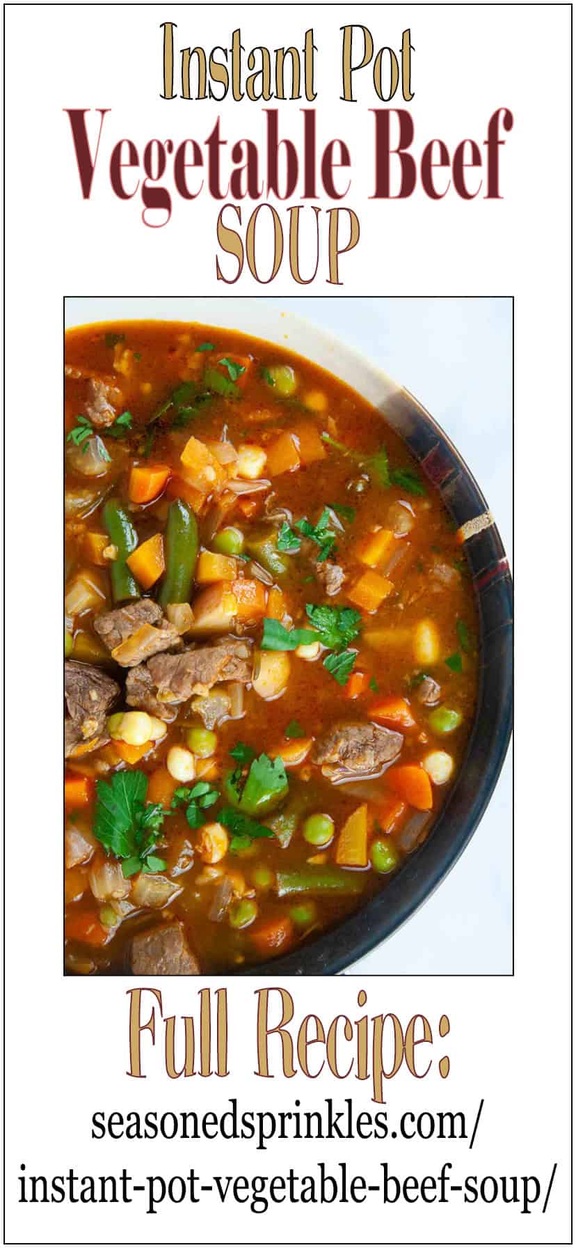 Instant Pot Vegetable Beef Soup - Seasoned Sprinkles