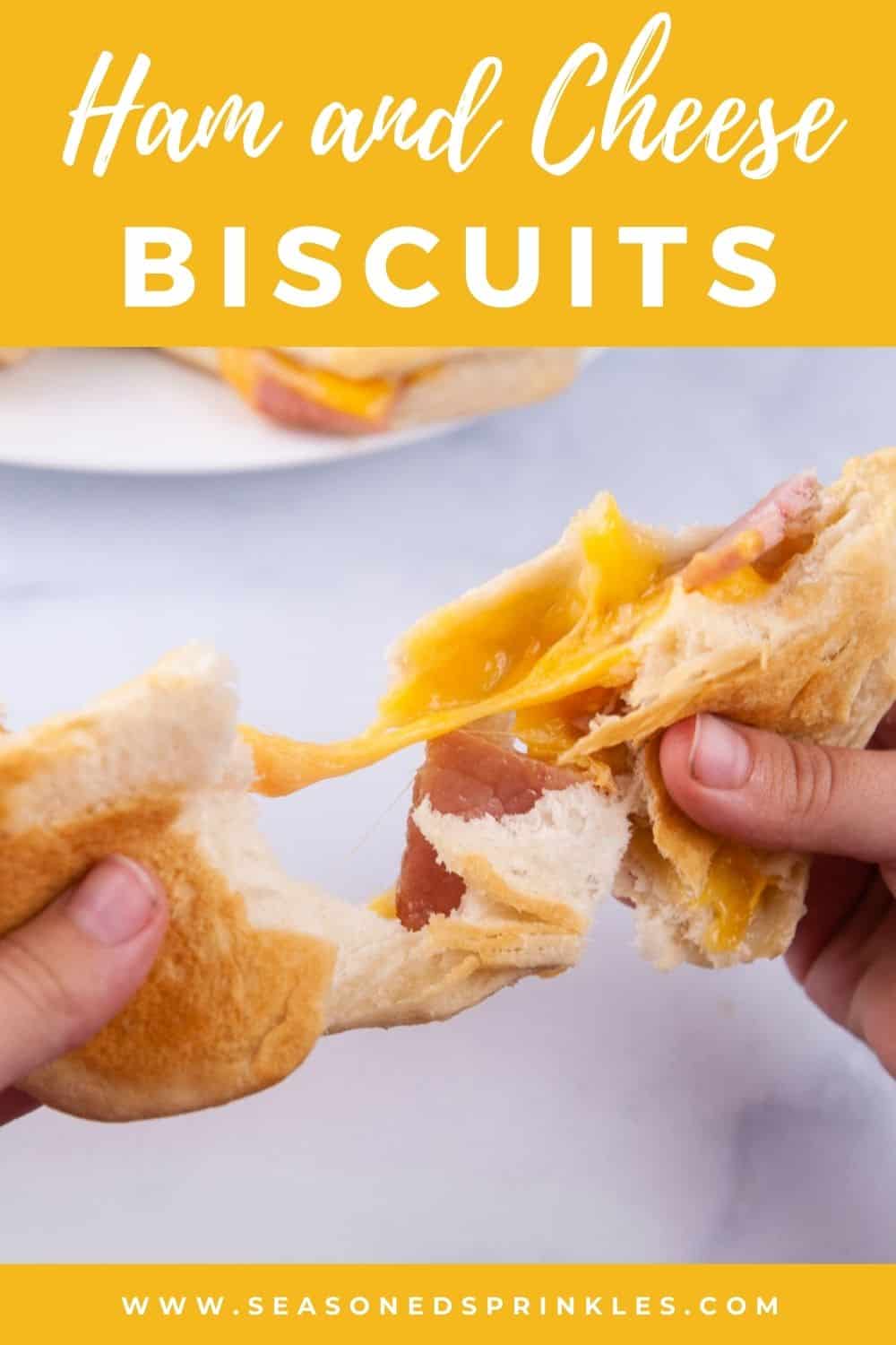 Ham and Cheese Biscuits - Seasoned Sprinkles