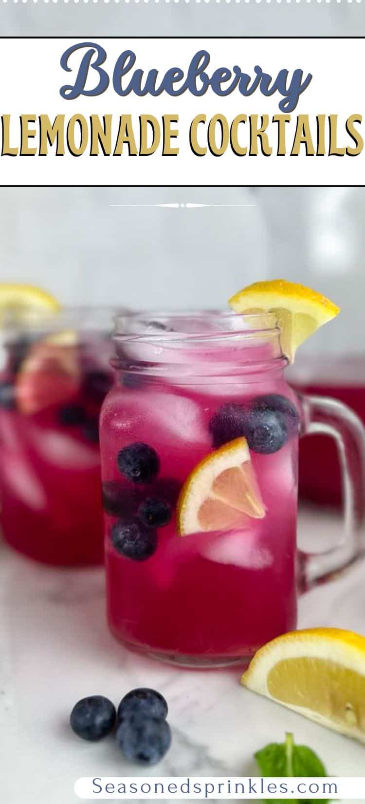 Blueberry Vodka Lemonade Cocktail - Seasoned Sprinkles