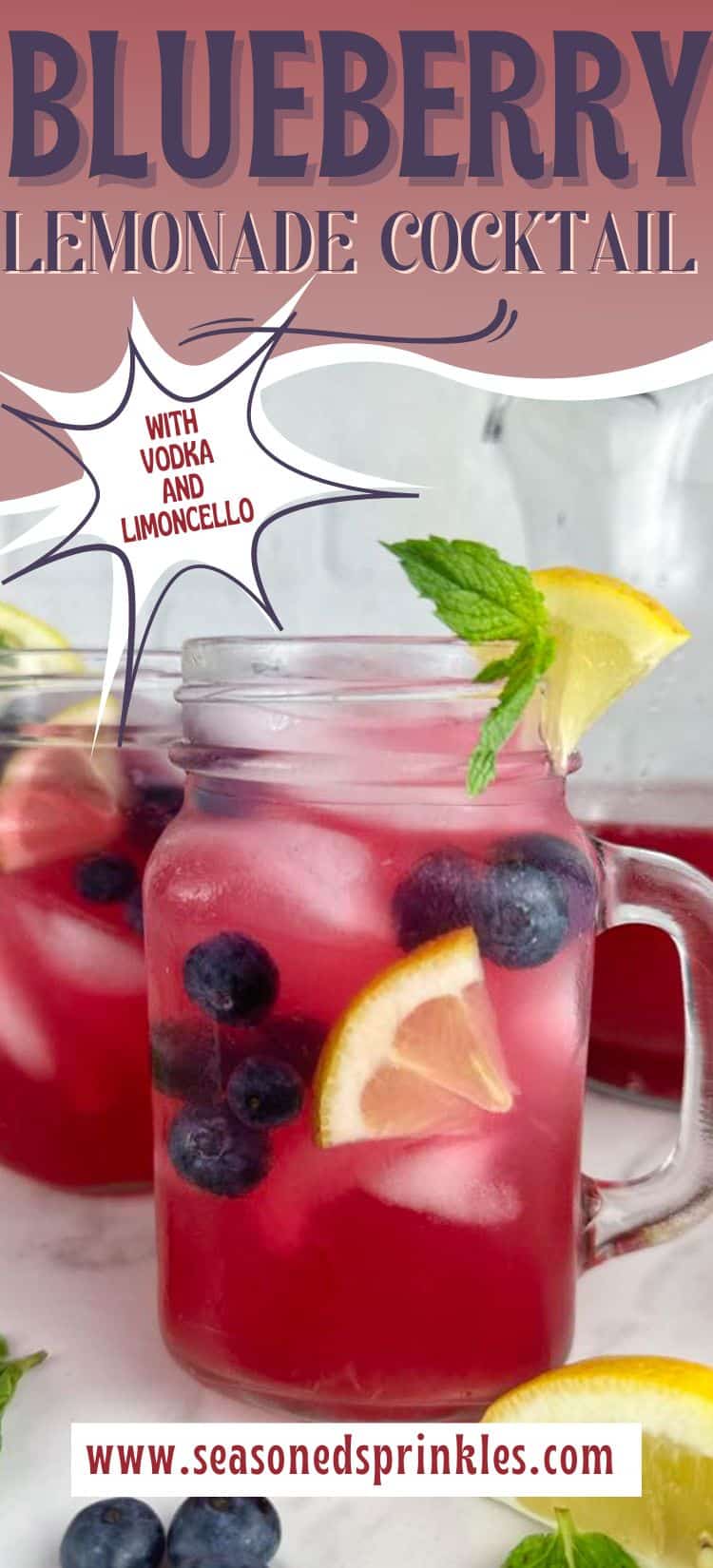 Blueberry Vodka Lemonade Cocktail - Seasoned Sprinkles