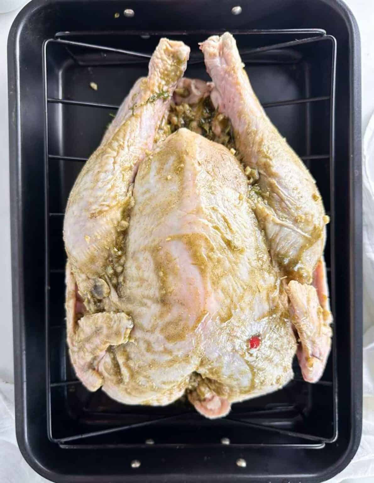 The Best Turkey in a Convection Oven - Seasoned Sprinkles