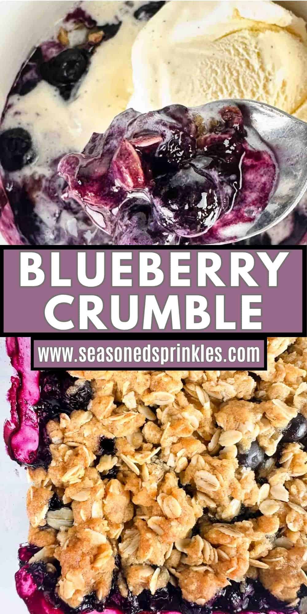 Blueberry Crumble - Seasoned Sprinkles
