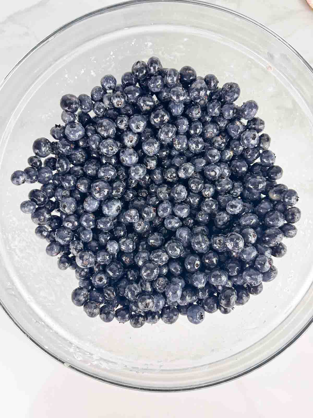 Blueberry Crumble - Seasoned Sprinkles