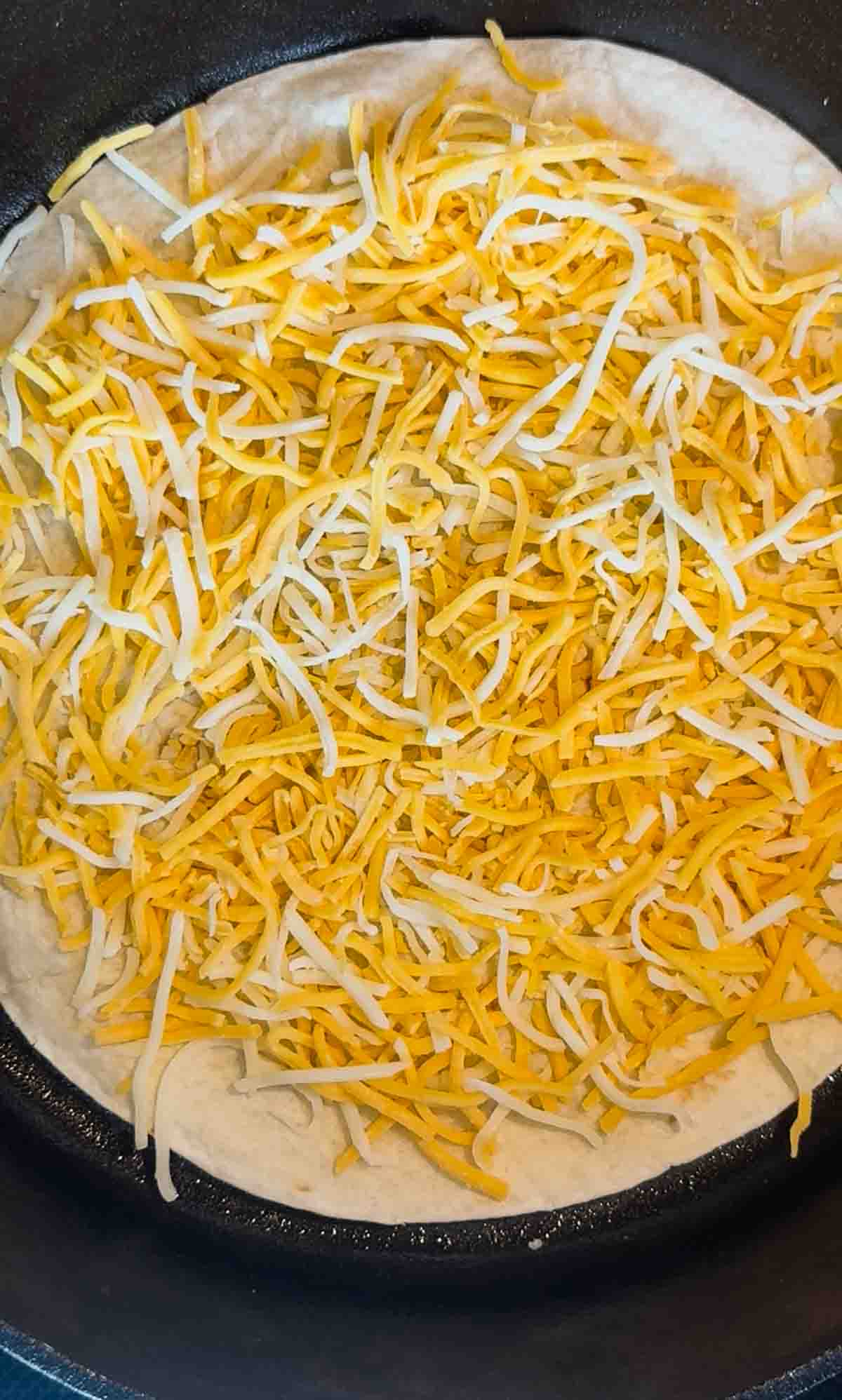 Easy Cheesy Cheese Quesadilla - Seasoned Sprinkles
